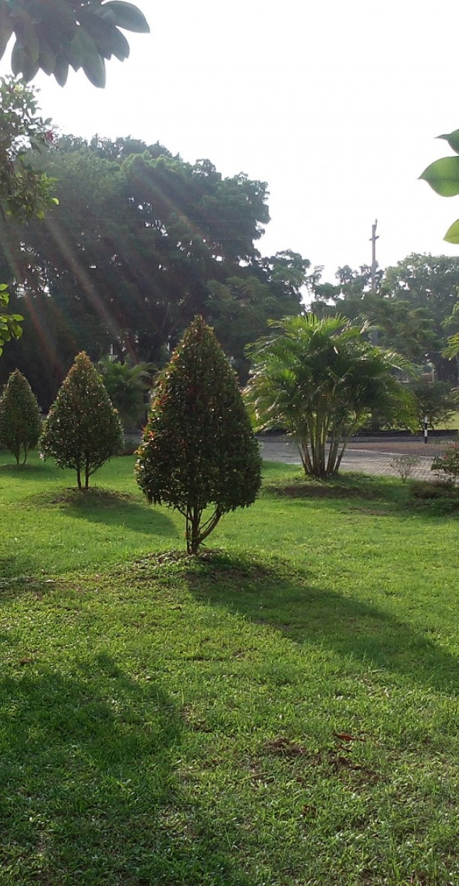 Tentang - Universitas Abulyatama